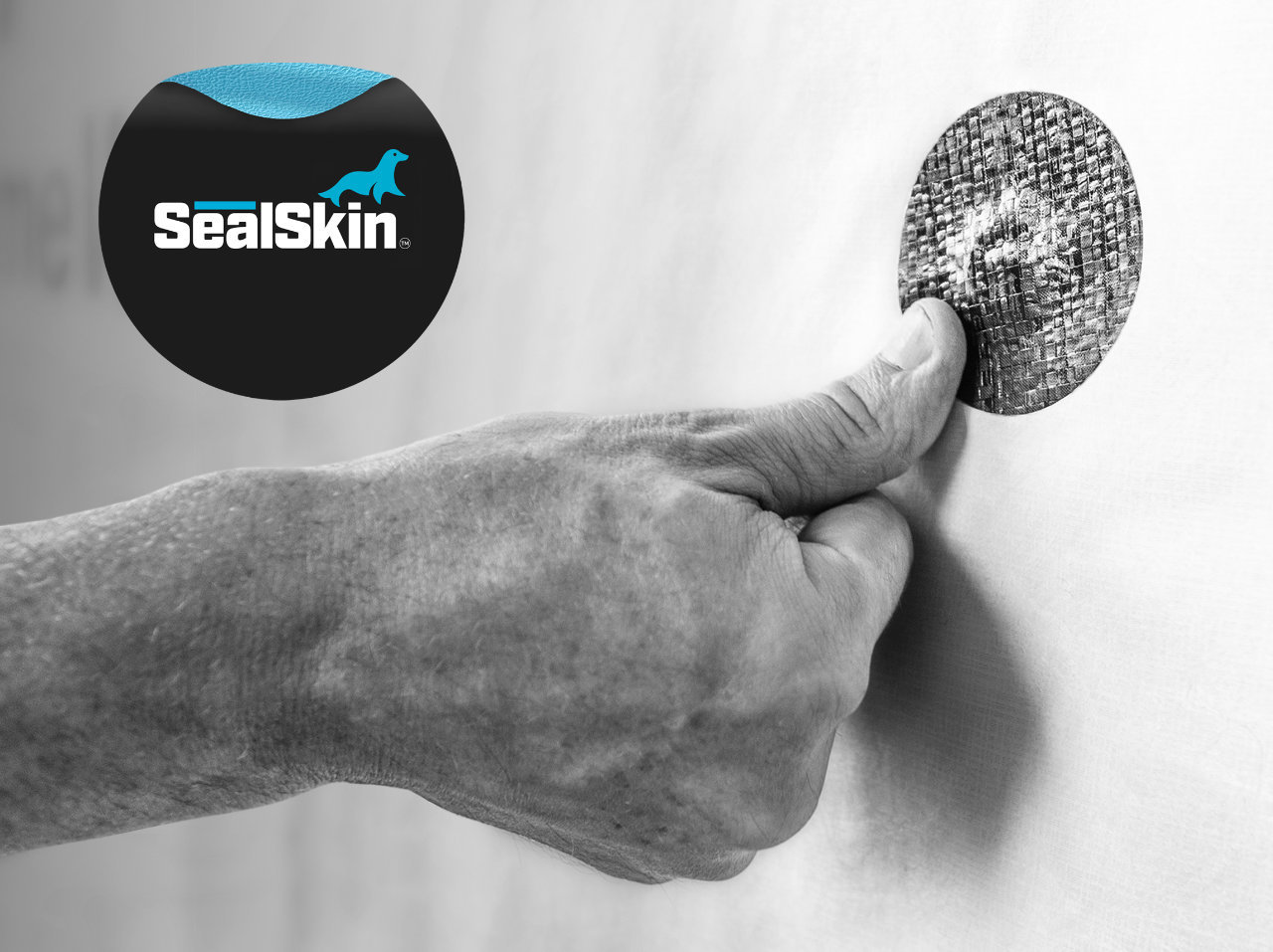 SealSkin Sealants and Adhesives - SIP-SEAL